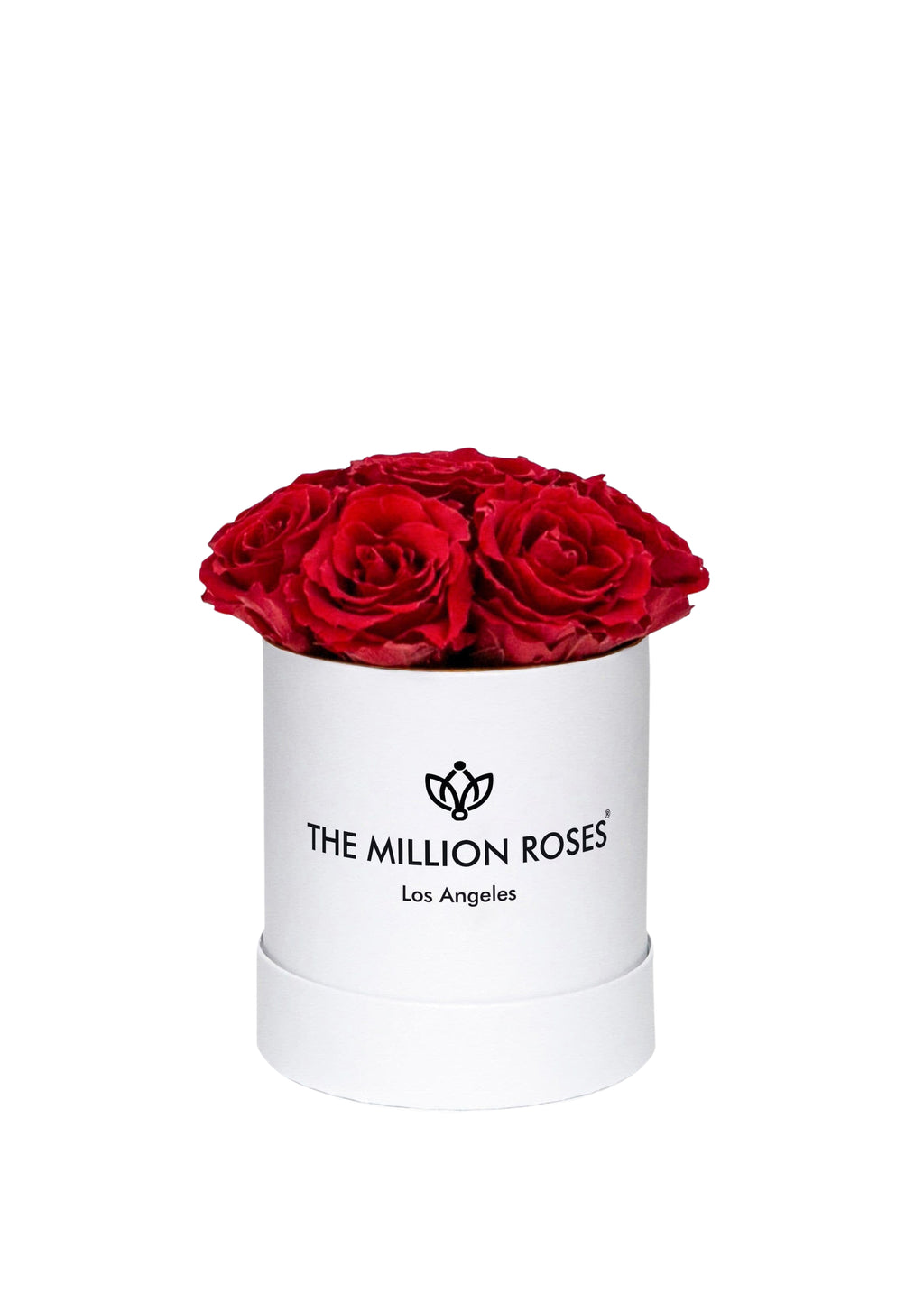 Basic White Box | Red Roses – MENAGERIE Intimates